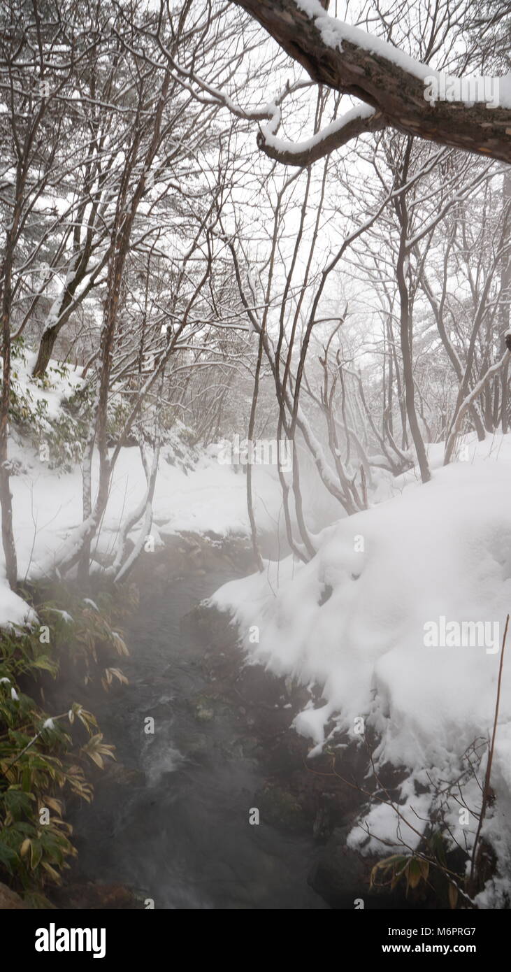 Winter in Japan , Snow in the Forest ,Onsen amount Snow Stock Photo - Alamy