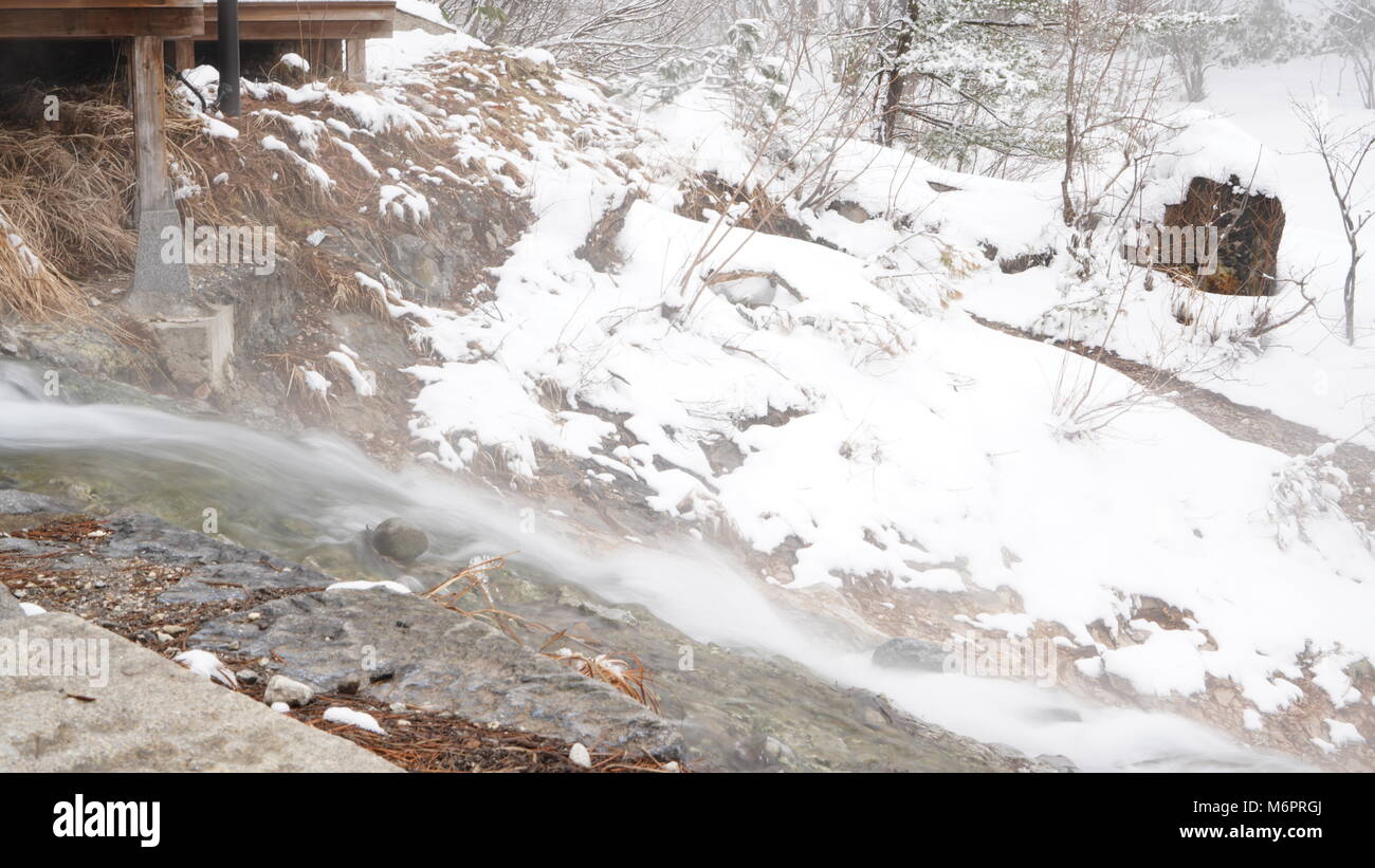 Winter in Japan , Snow in the Forest ,Onsen amount Snow Stock Photo - Alamy