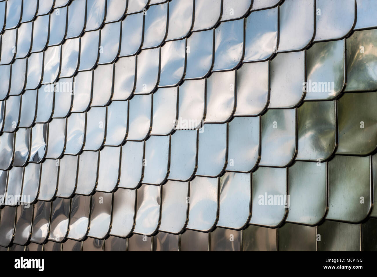 Fish scale texture hi-res stock photography and images - Alamy