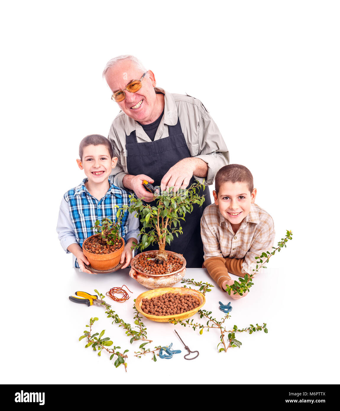 Man trimming tree Cut Out Stock Images & Pictures - Alamy