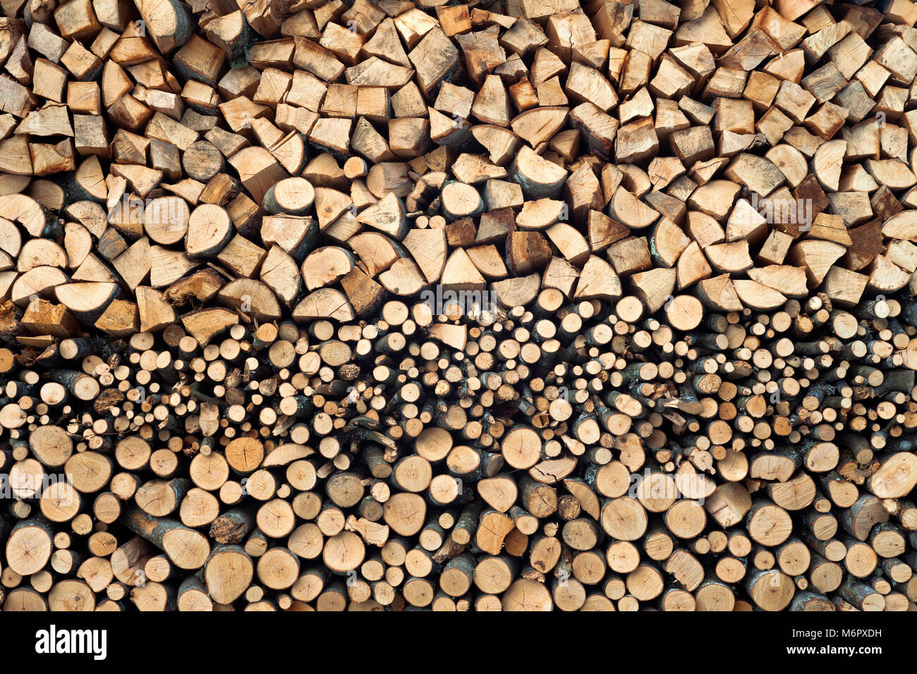 pile of wood logs from trees Stock Photo - Alamy