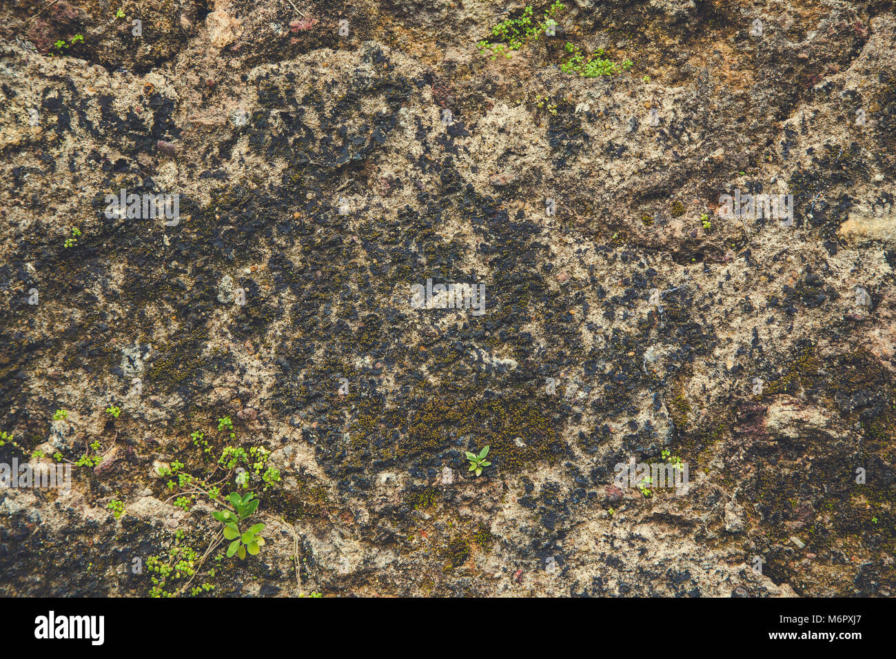 stone or rock background and texture, natural stone. (color toned image ...
