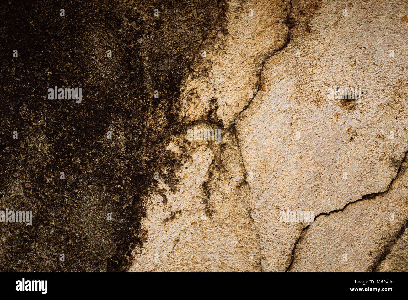 stone or rock background and texture, natural stone. (color toned image ...