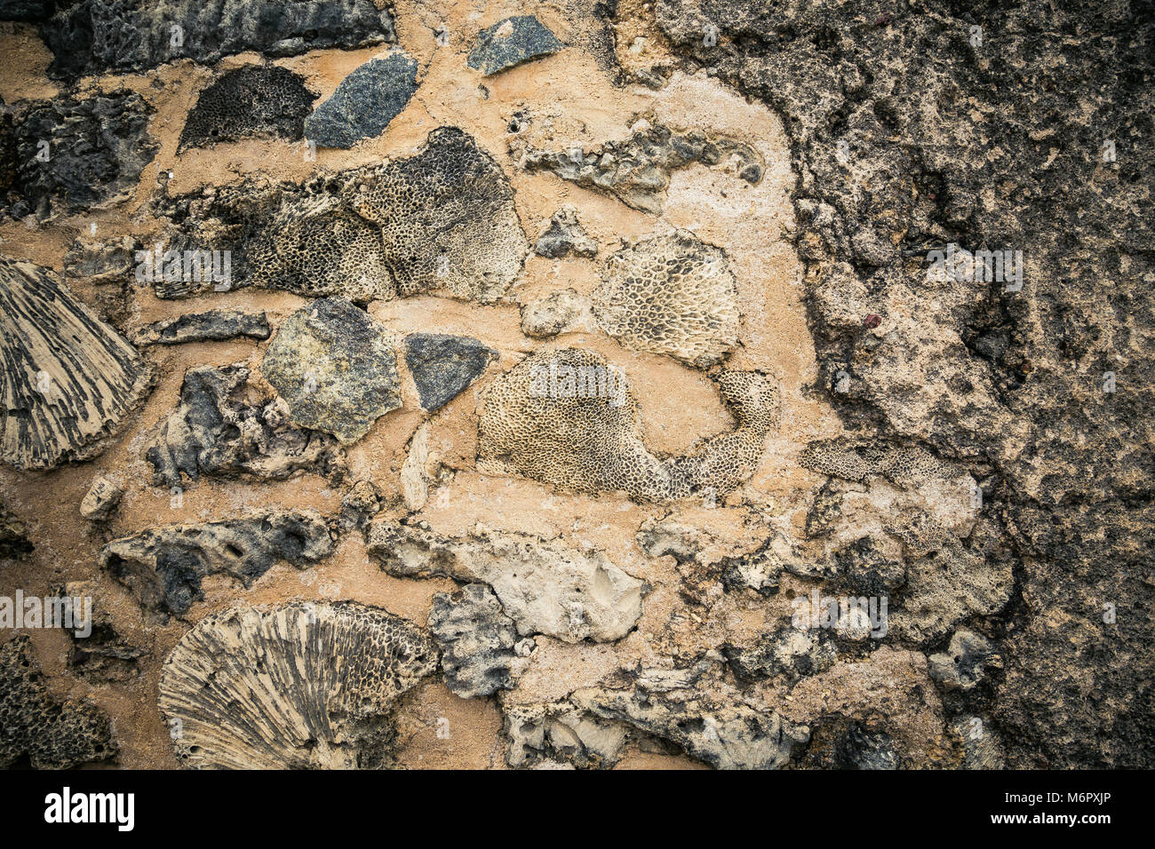 stone or rock background and texture, natural stone. (color toned image ...