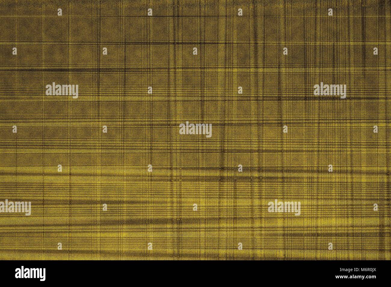 Linen Golden Lime painted texture Fabric color background flax surface ...