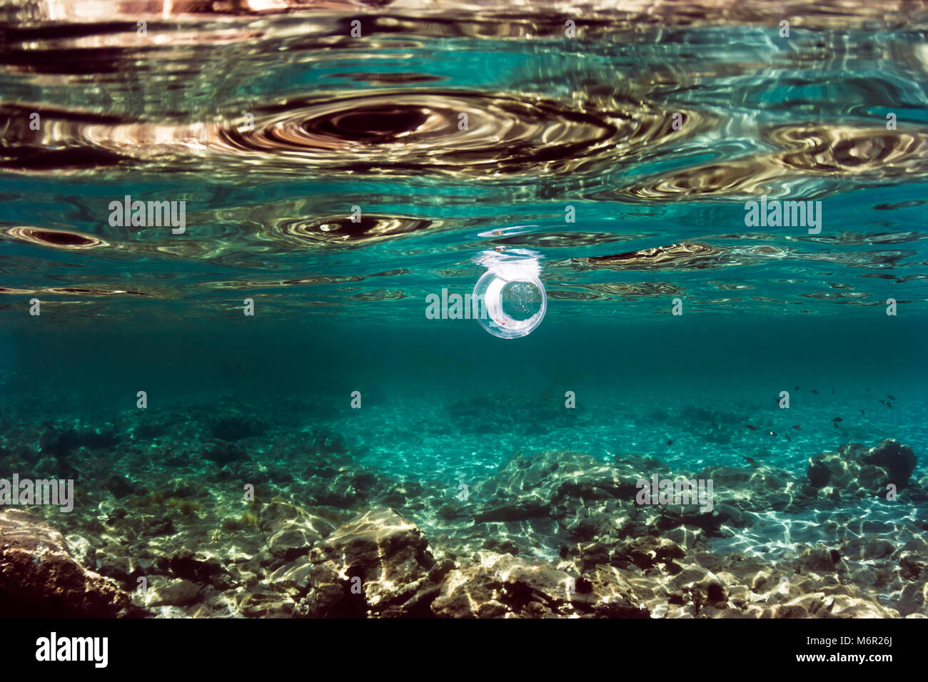 Plastic ocean pollution hi-res stock photography and images - Alamy