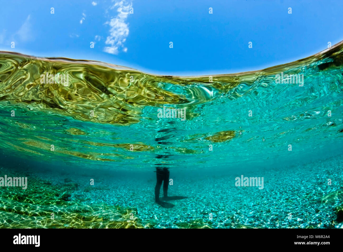 Half underwater half on surface hi-res stock photography and images - Alamy