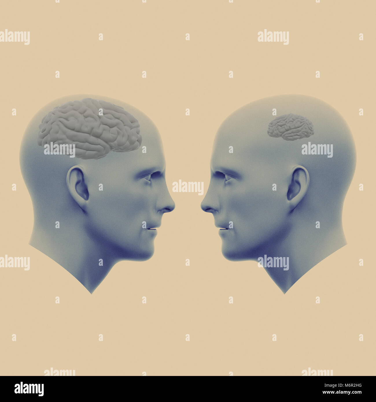 Large brain hi-res stock photography and images - Alamy