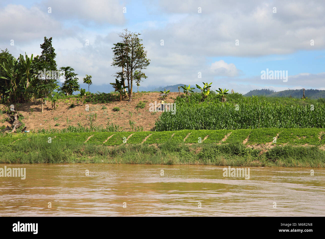 Lao farmer hi-res stock photography and images - Alamy