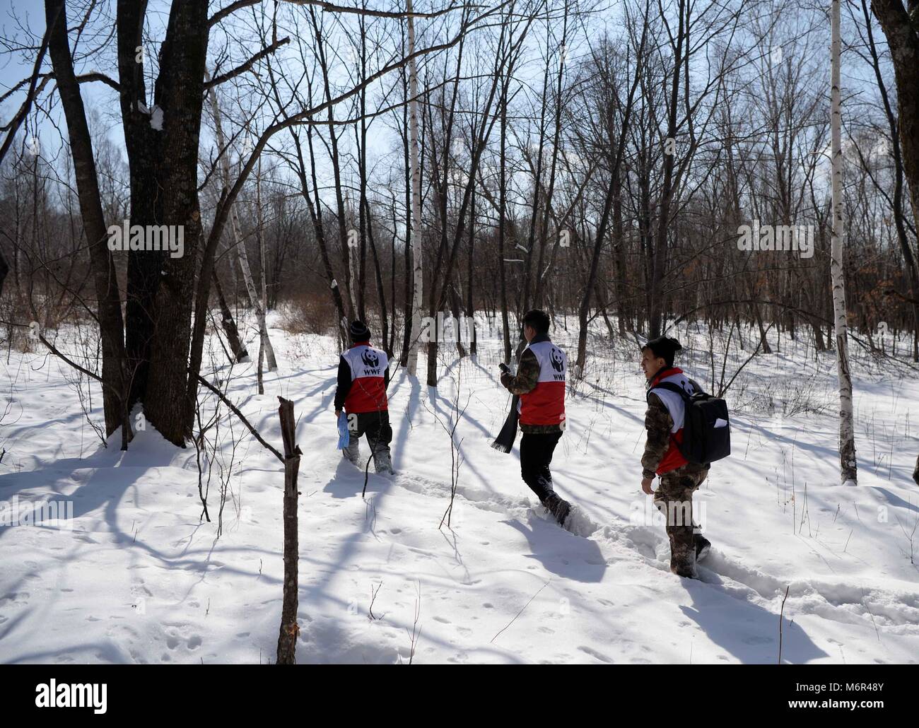 Tiger trap hi-res stock photography and images - Alamy