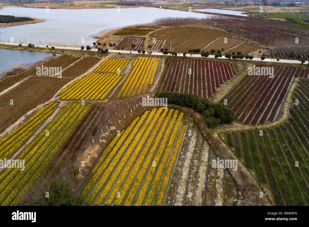 Tianchan hi-res stock photography and images - Alamy