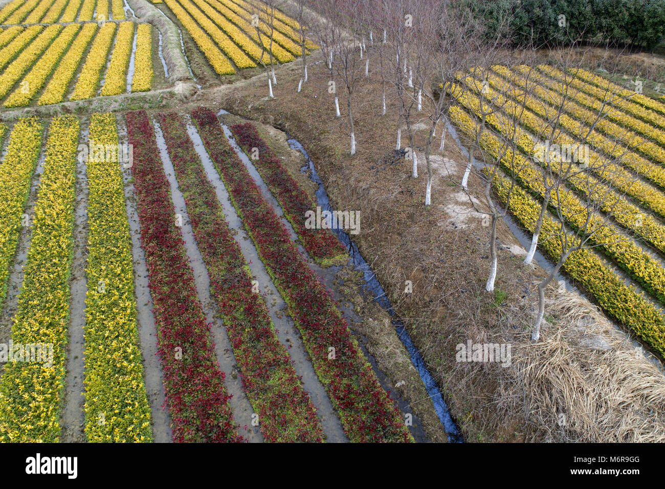 Tianchan hi-res stock photography and images - Alamy