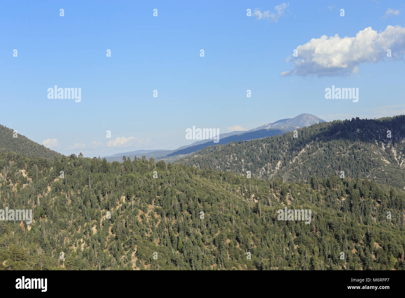 A view of San Bernarnino National Forest, Skyforest California Stock ...