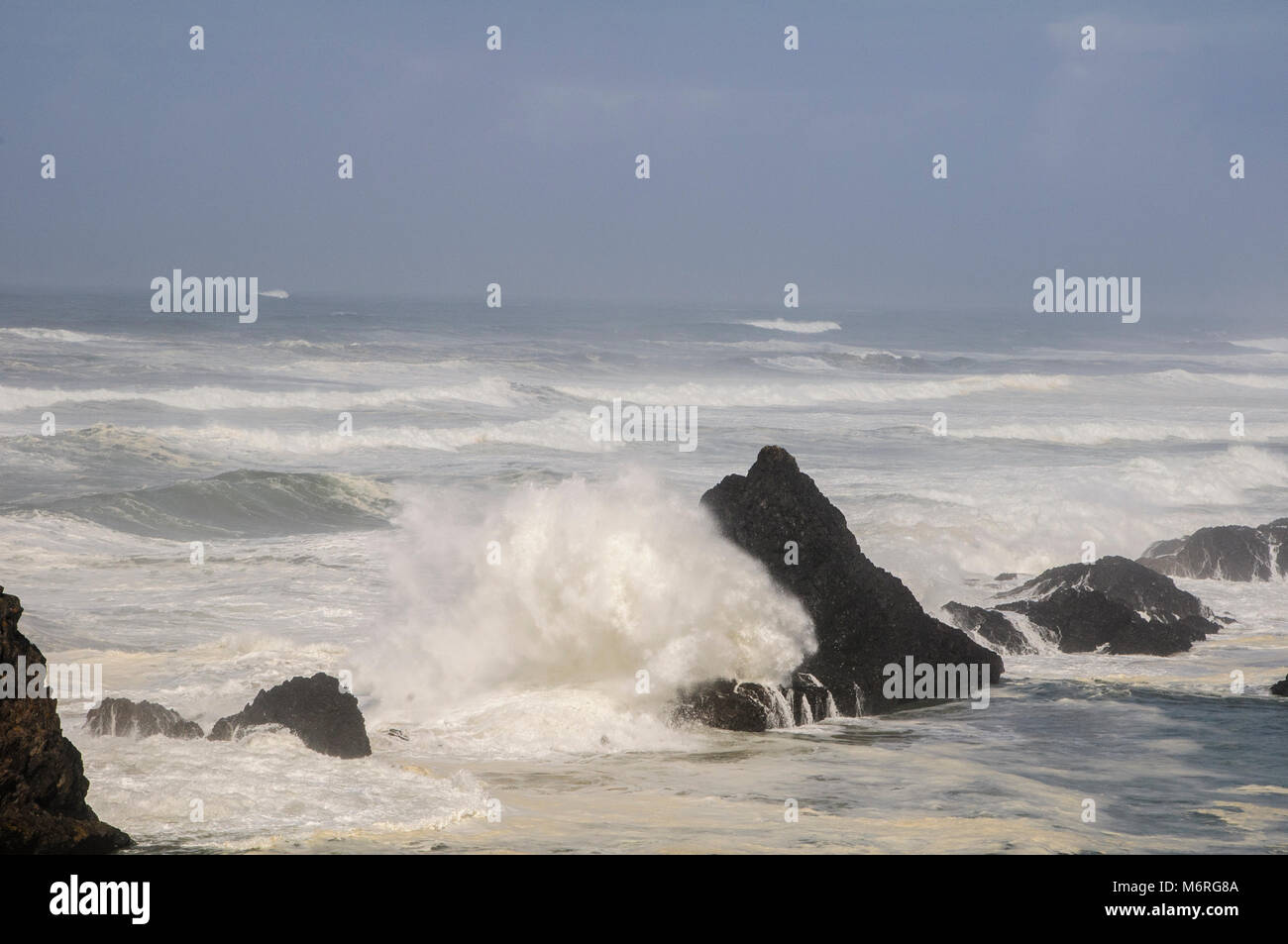 Seal rocks oregon coast hi-res stock photography and images - Alamy