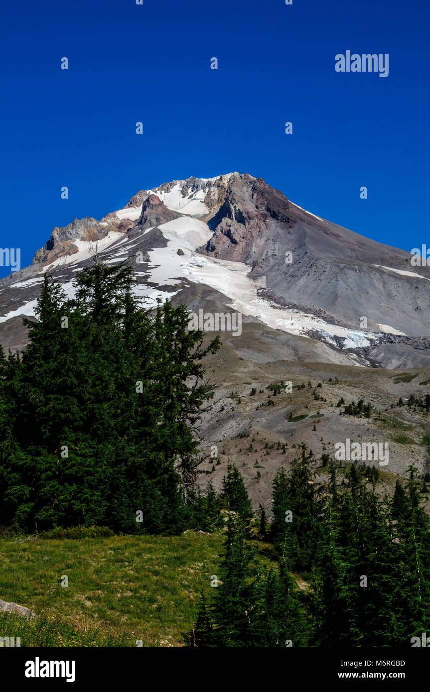 Mount Hood Nf