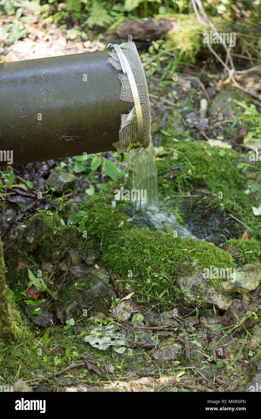 Water Quality Testing Activity. The Exploring Earth Science Teacher ...