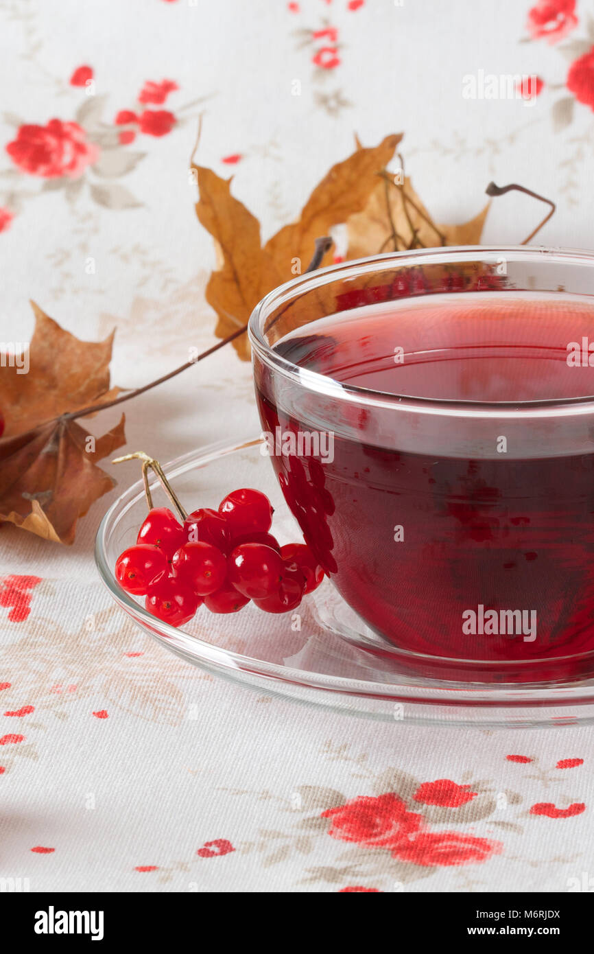 Viburnum tea in a glass. Closeup Stock Photo - Alamy