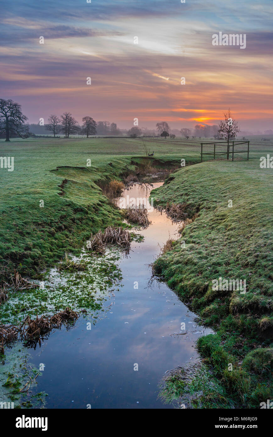 Wistow hi-res stock photography and images - Alamy