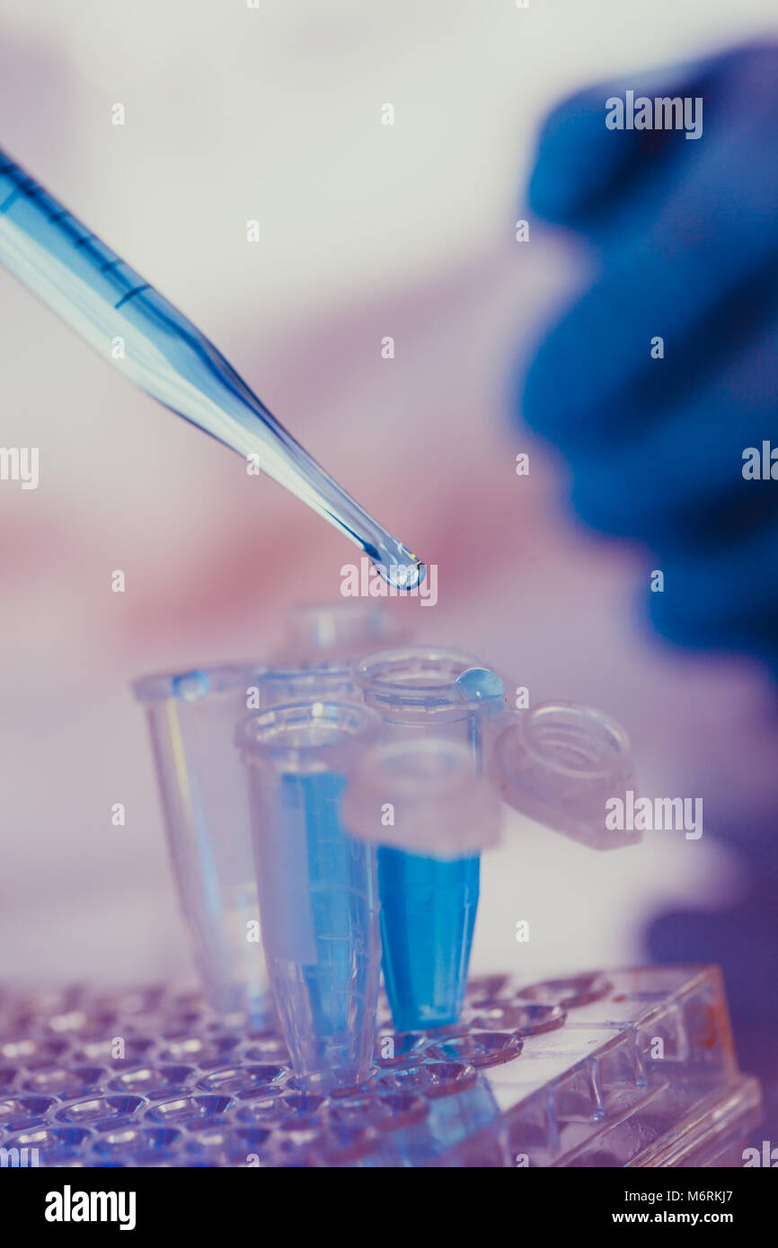 Scientist in chemical lab Stock Photo - Alamy