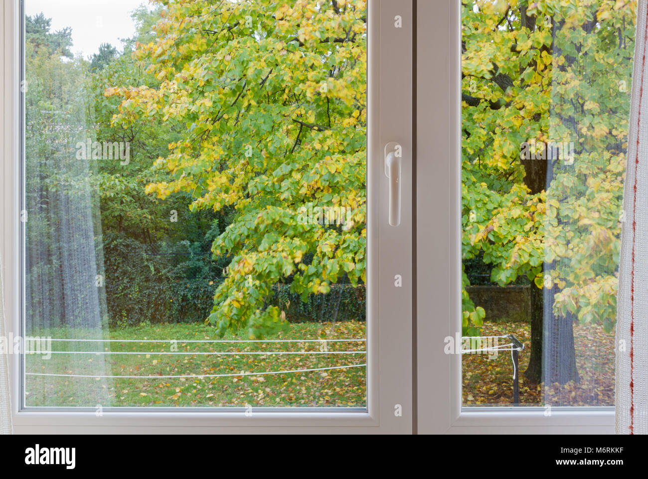 View through a modern window on a windy autumn afternoon Stock Photo ...