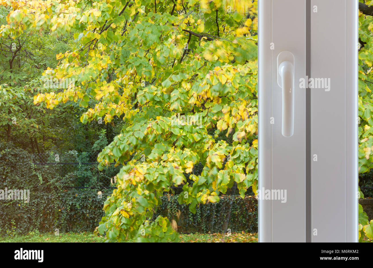 View through a modern window on a windy autumn afternoon Stock Photo ...