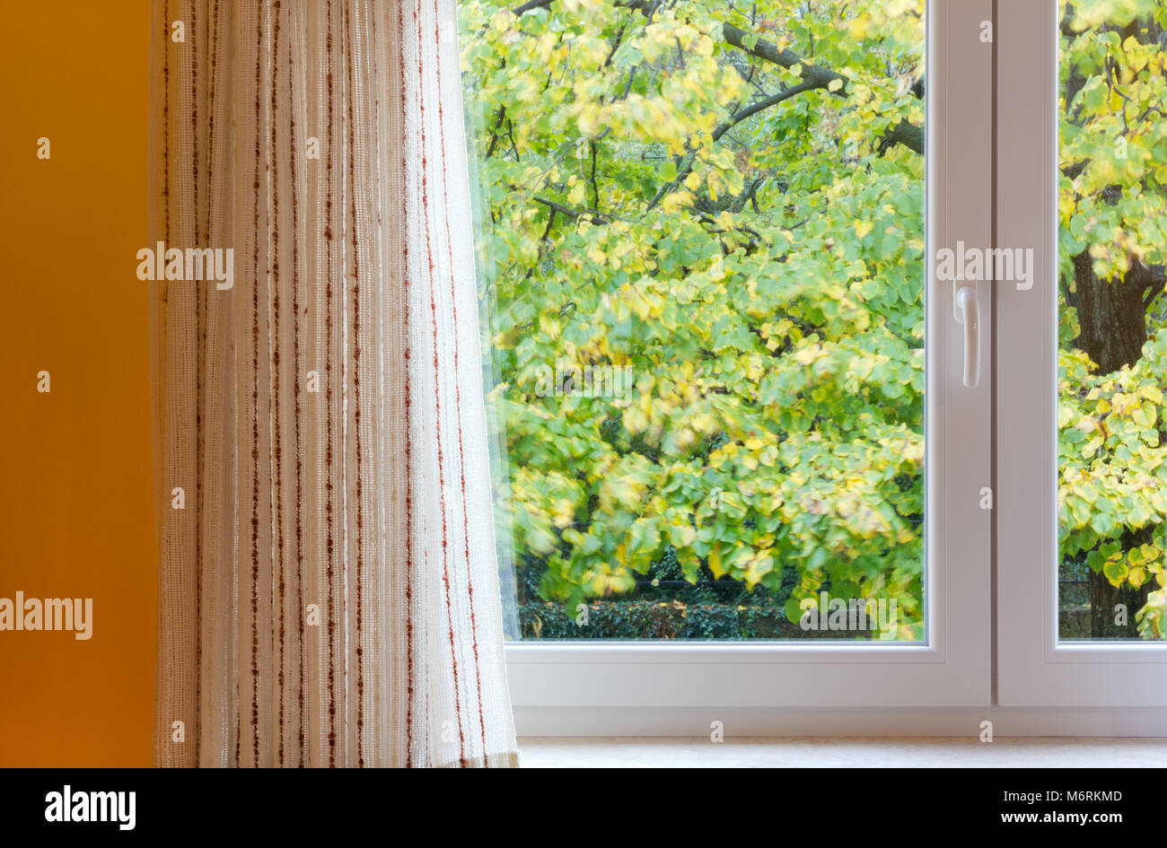 Afternoon windowsill hi-res stock photography and images - Alamy