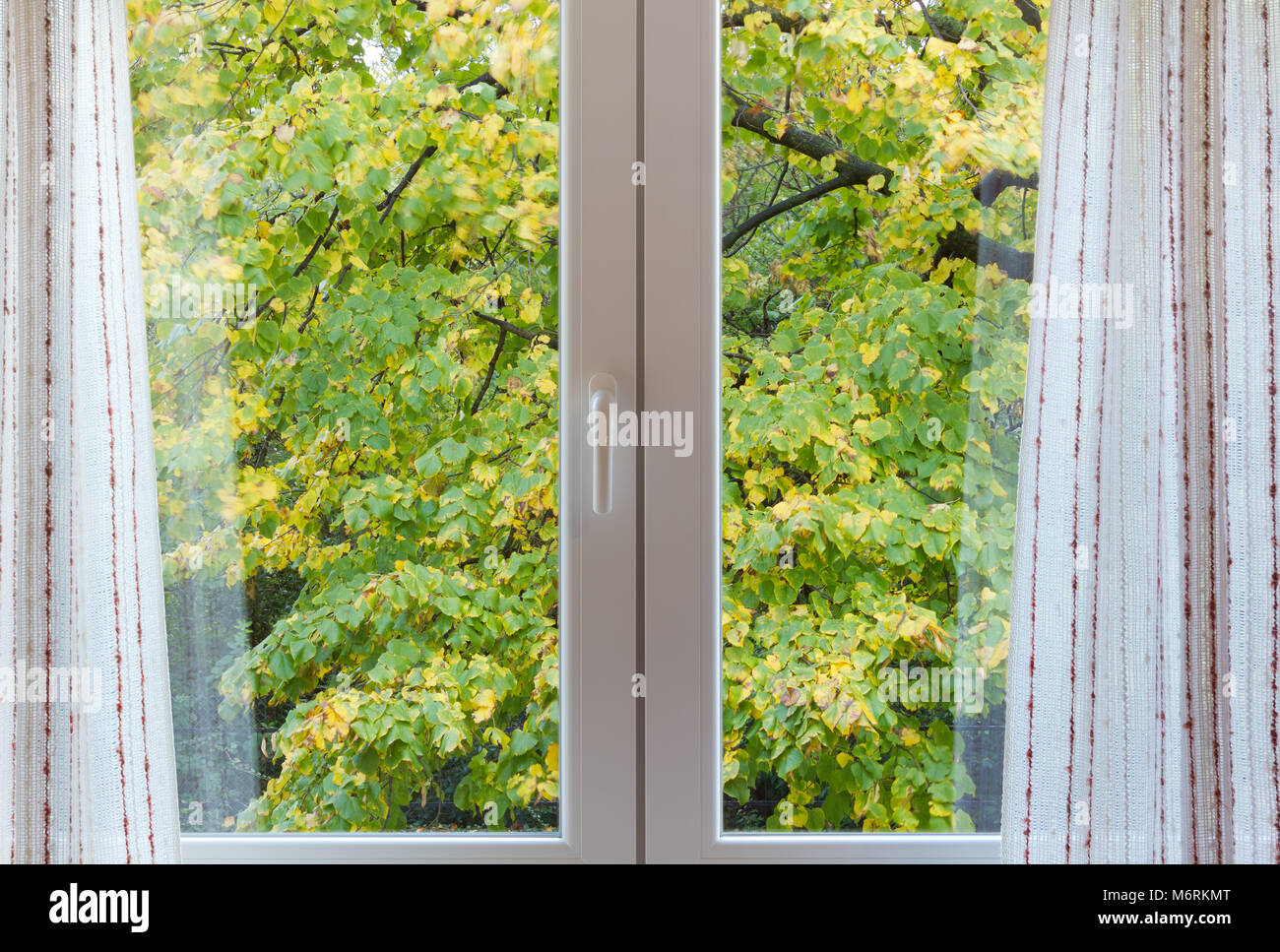 View through a modern window on a windy autumn afternoon Stock Photo ...