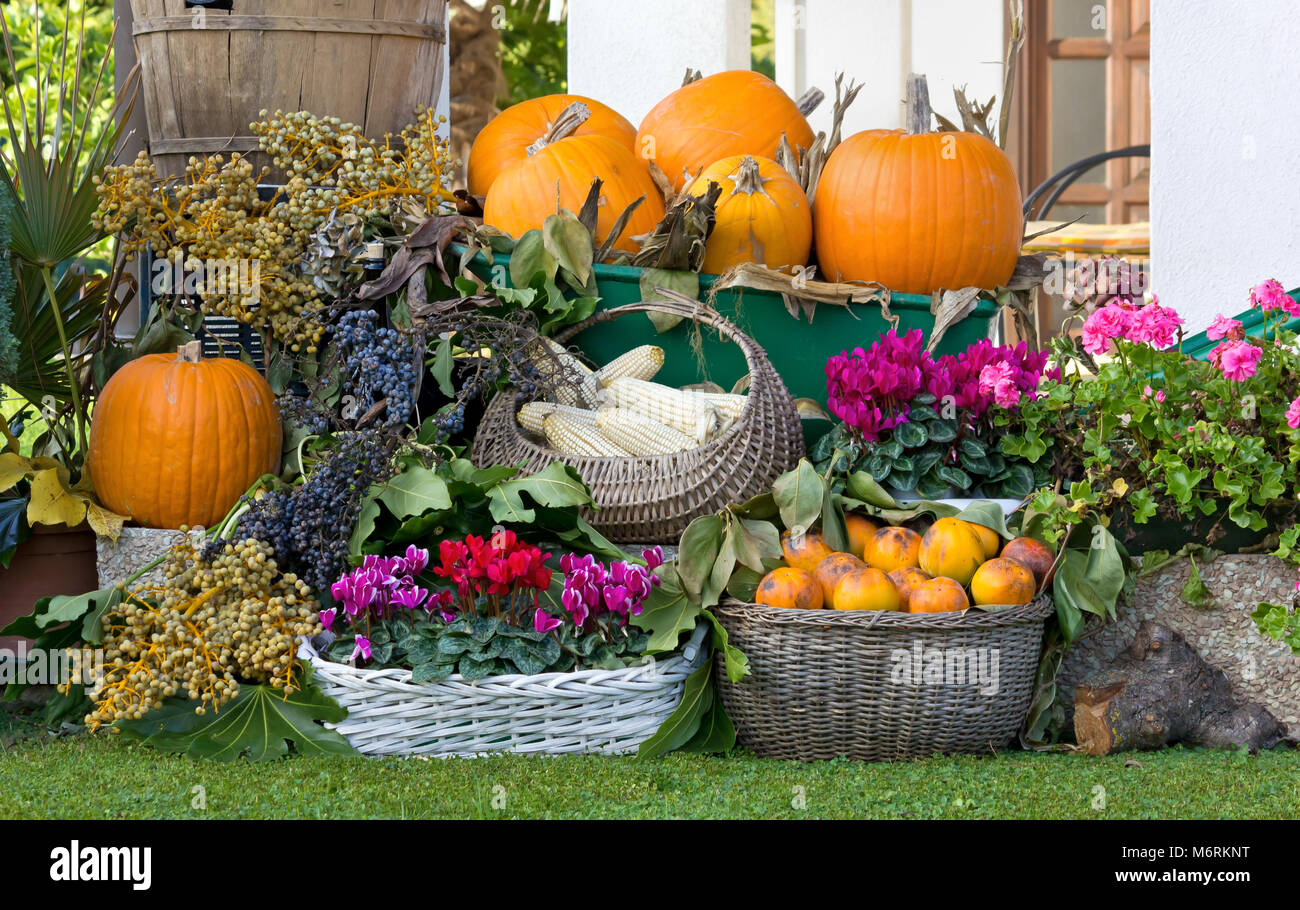 Fruit and flower arrangement in a garden Stock Photo - Alamy