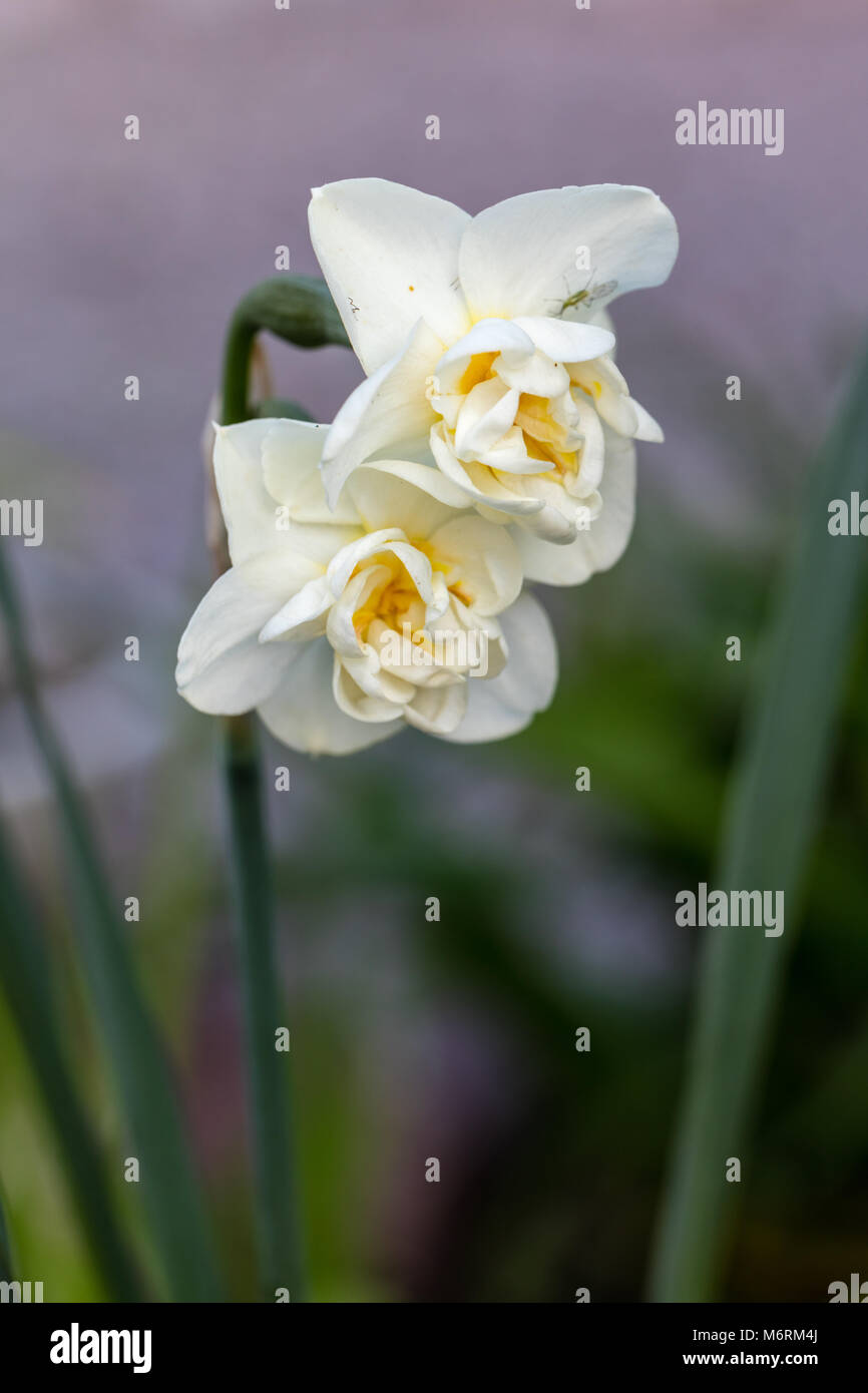 Cheerfulness hi-res stock photography and images - Alamy