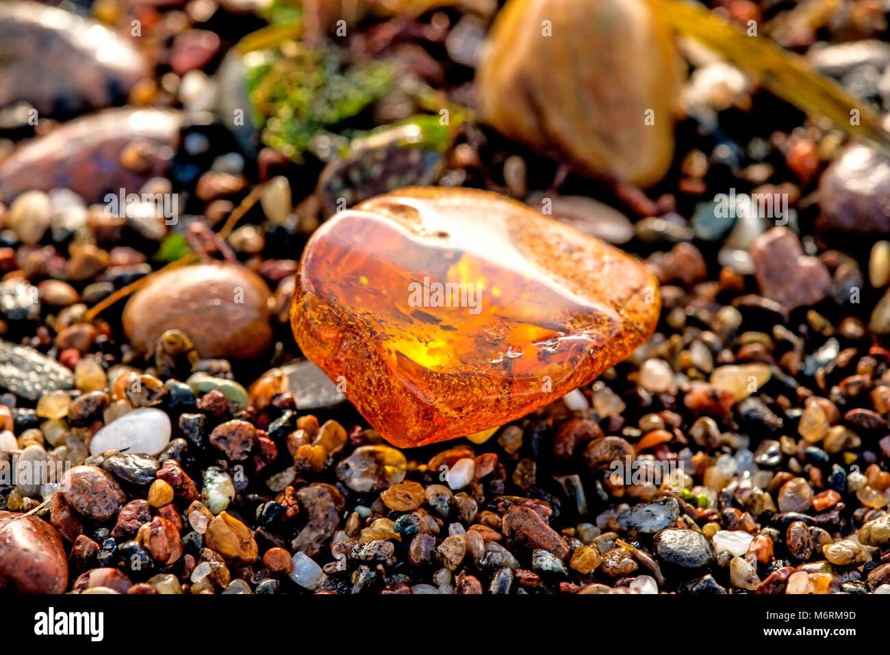 Amber on a beach of the Baltic Sea Stock Photo - Alamy