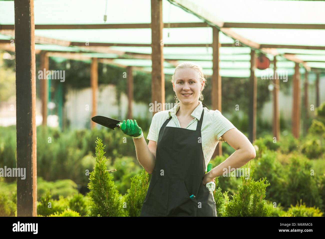 The gardener presents green plants Stock Photo - Alamy