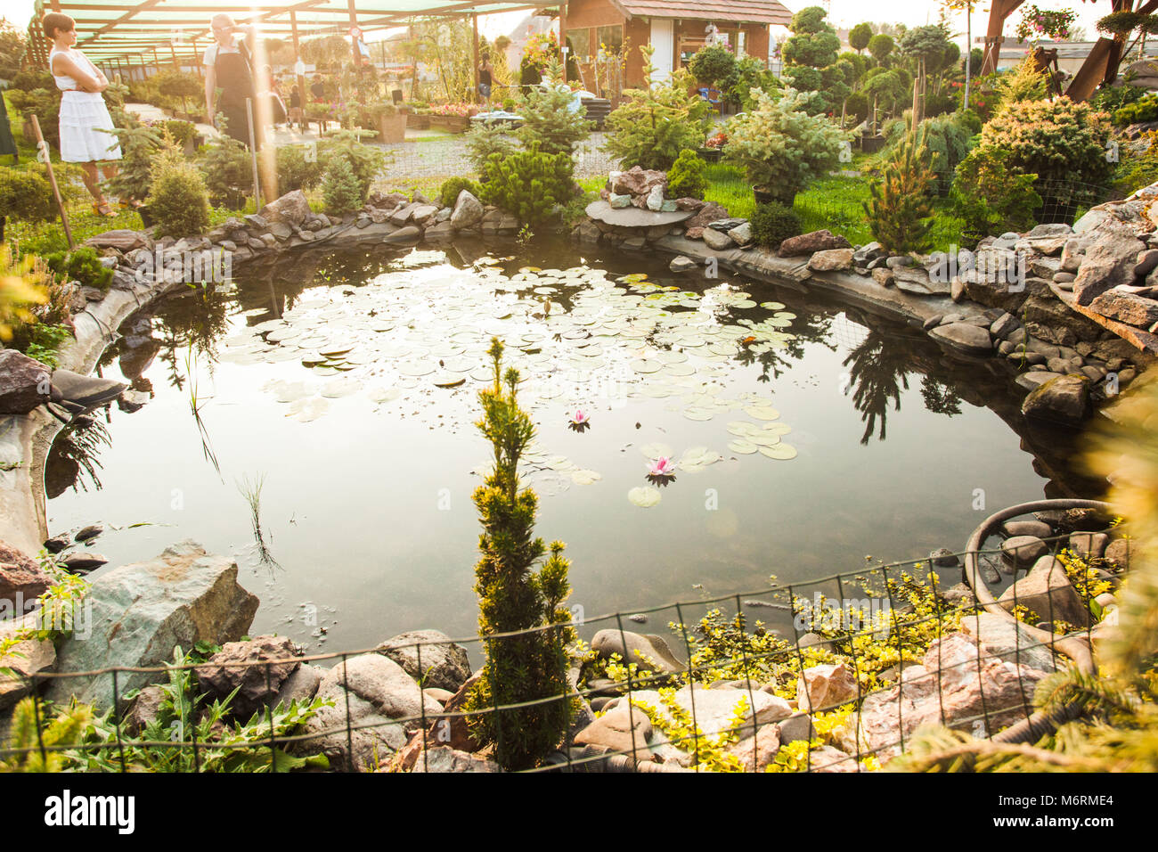 Garden pond landscaping Stock Photo - Alamy