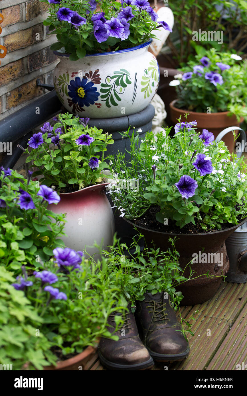 Spring flowers in an English garden Stock Photo - Alamy
