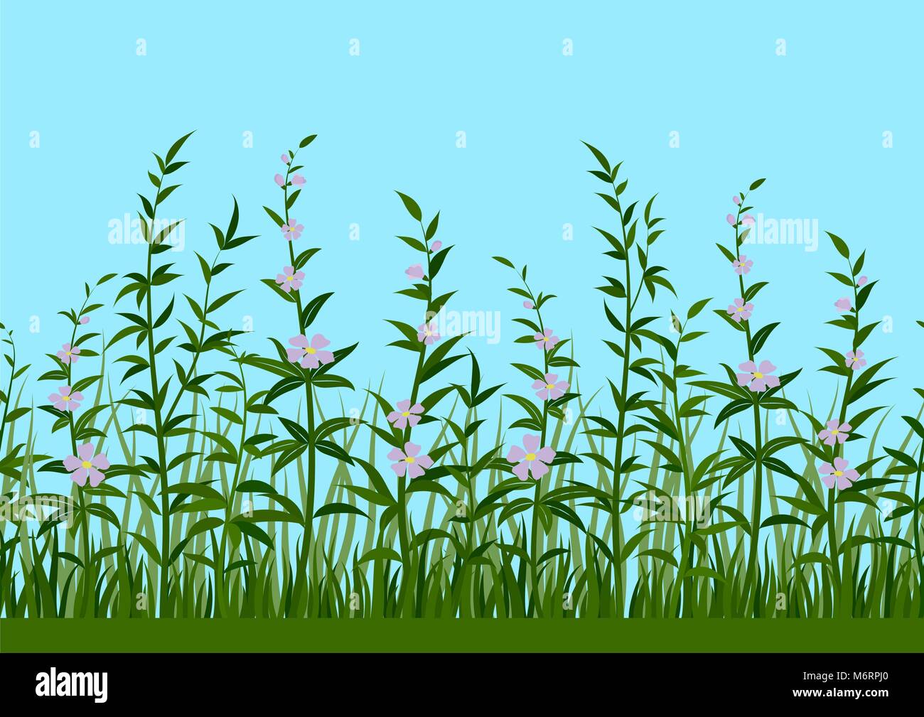 Grass and Flowers, Seamless Stock Vector Image & Art - Alamy