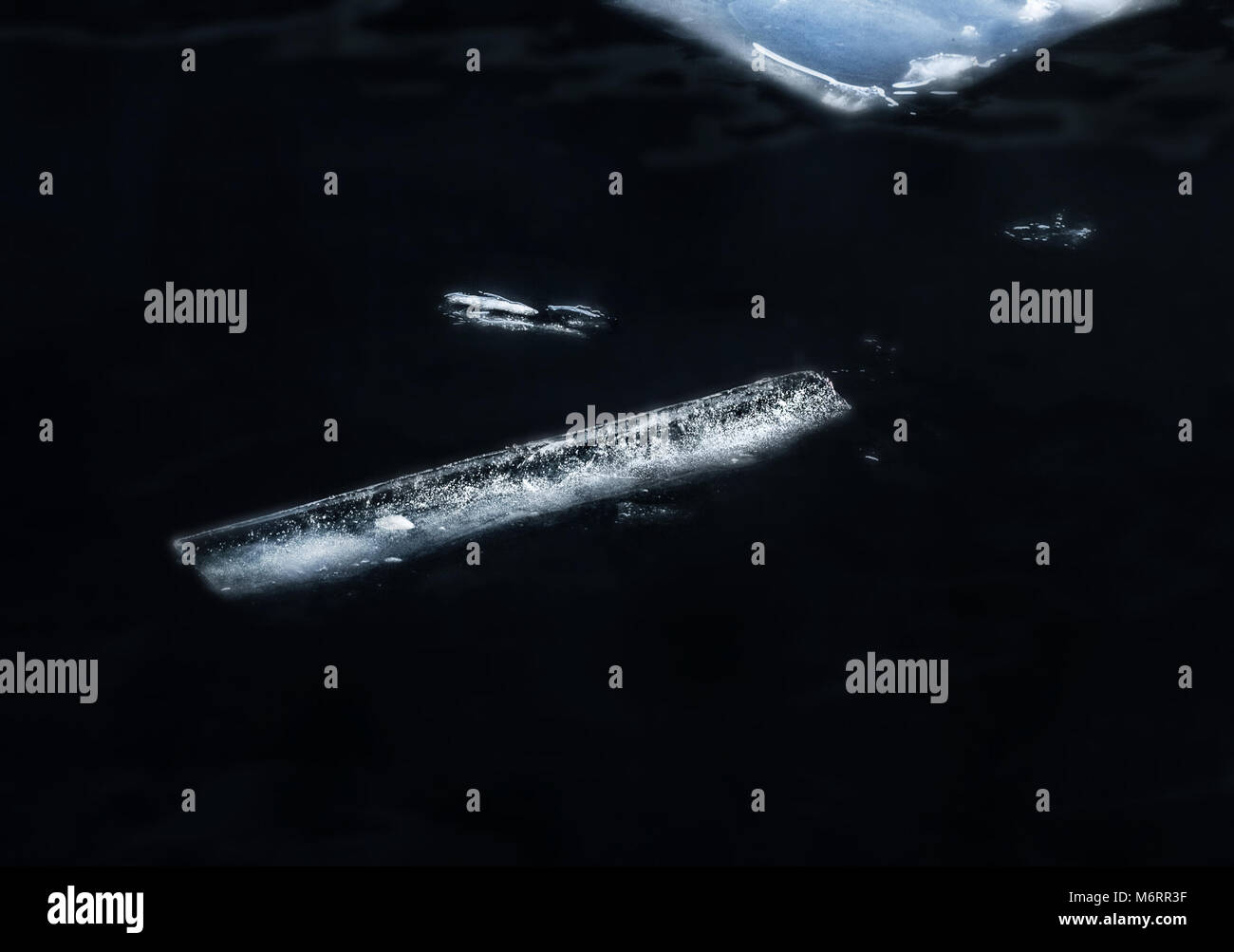 Deep and dark hi-res stock photography and images - Alamy