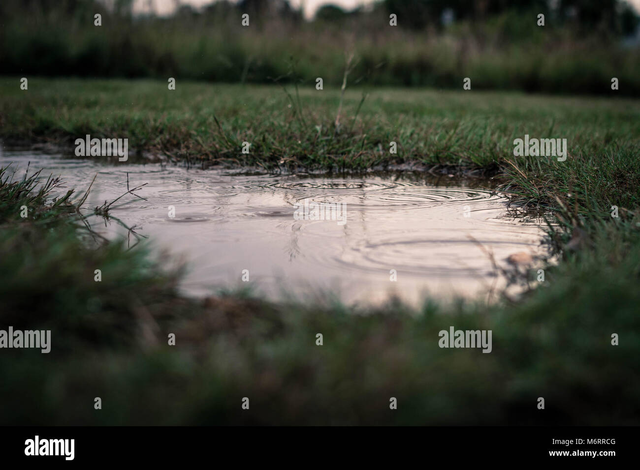 Reflections In Puddles High Resolution Stock Photography and Images - Alamy