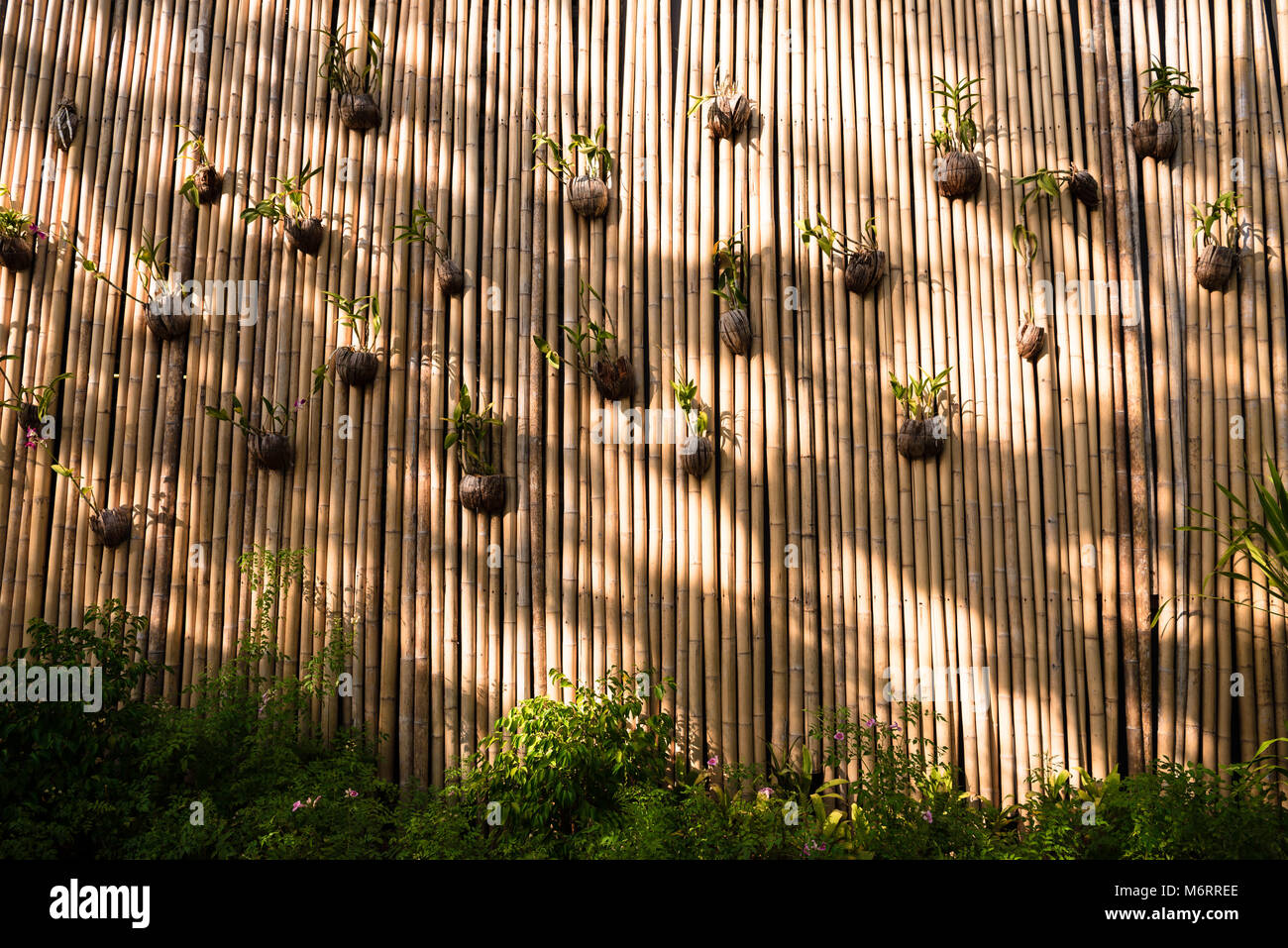 Creative potting of flowers on bamboo wall Stock Photo - Alamy