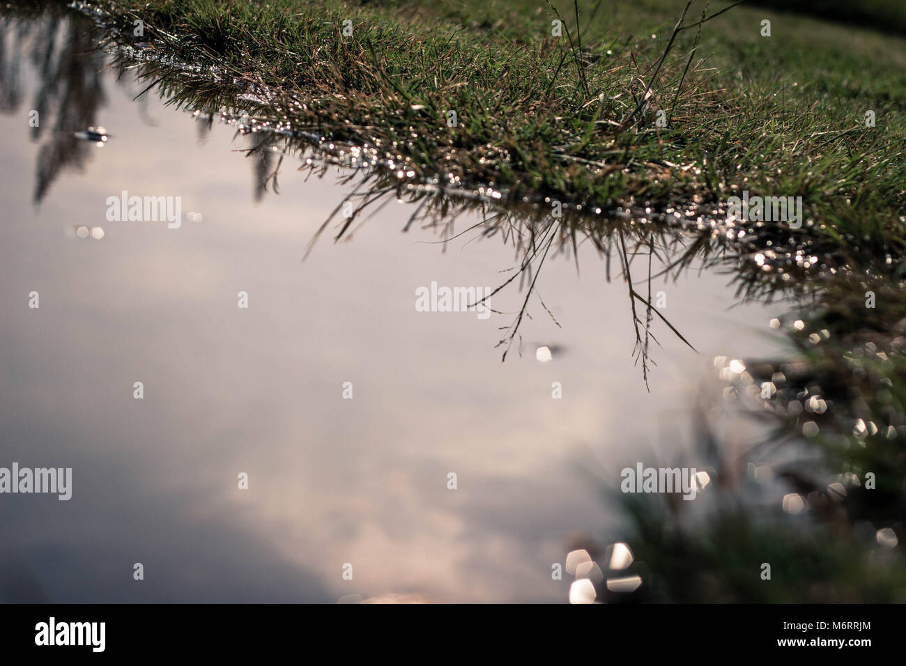 Close up puddle water hi-res stock photography and images - Alamy