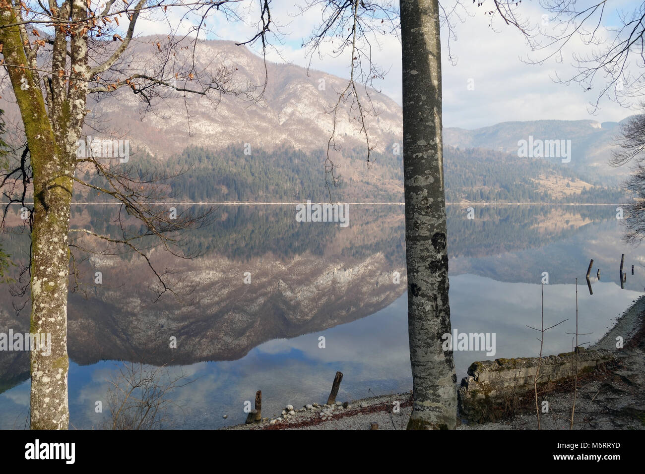 Lake Bled Slovenia in winter Stock Photo - Alamy
