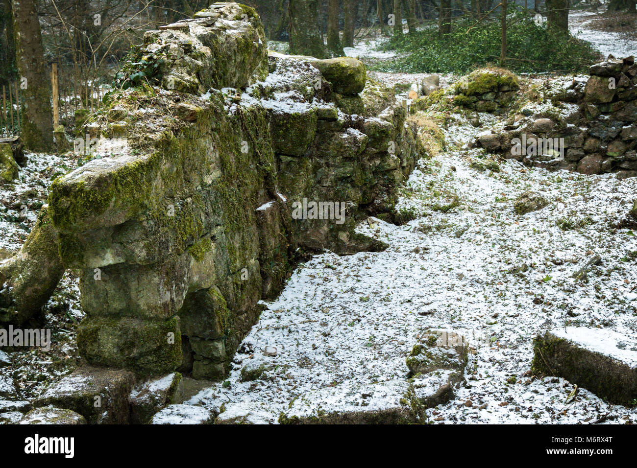 The ruins of an old stone watermill on Dartmoor, United Kingdom. The ...