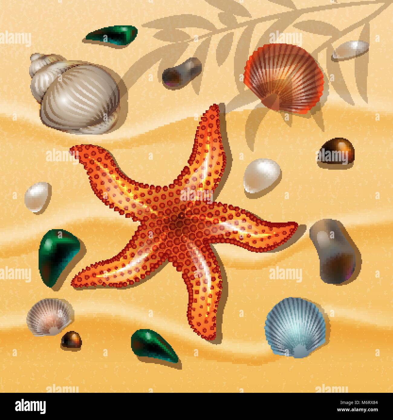 Shells and starfishes on sand background. Summer Theme. Vector ...