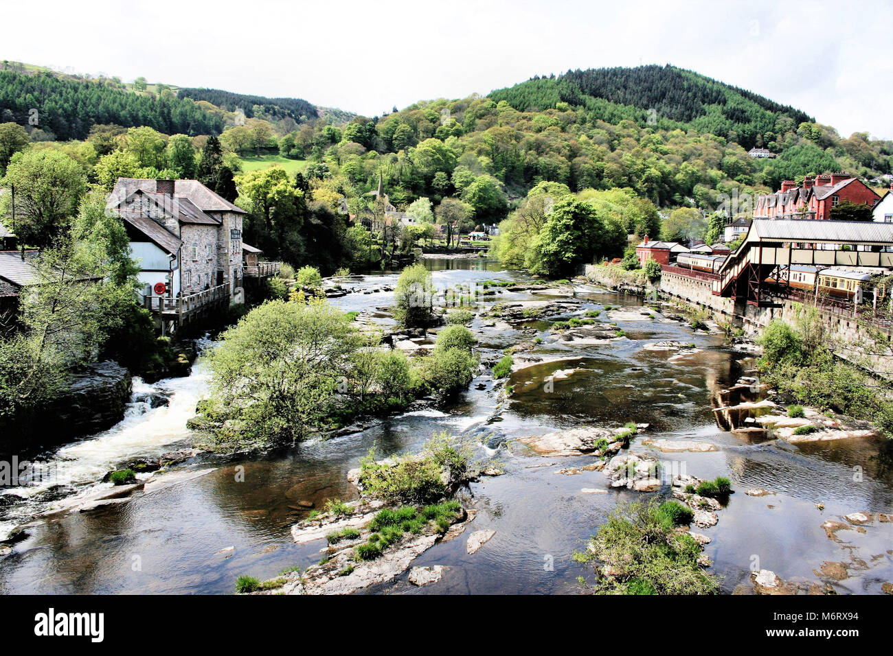 River dee wales birds hi-res stock photography and images - Alamy