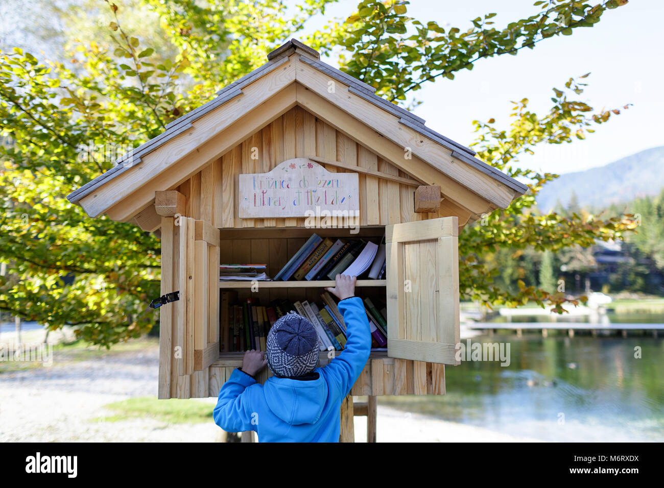 Rear view of a curious young boy looking into mini street library ...