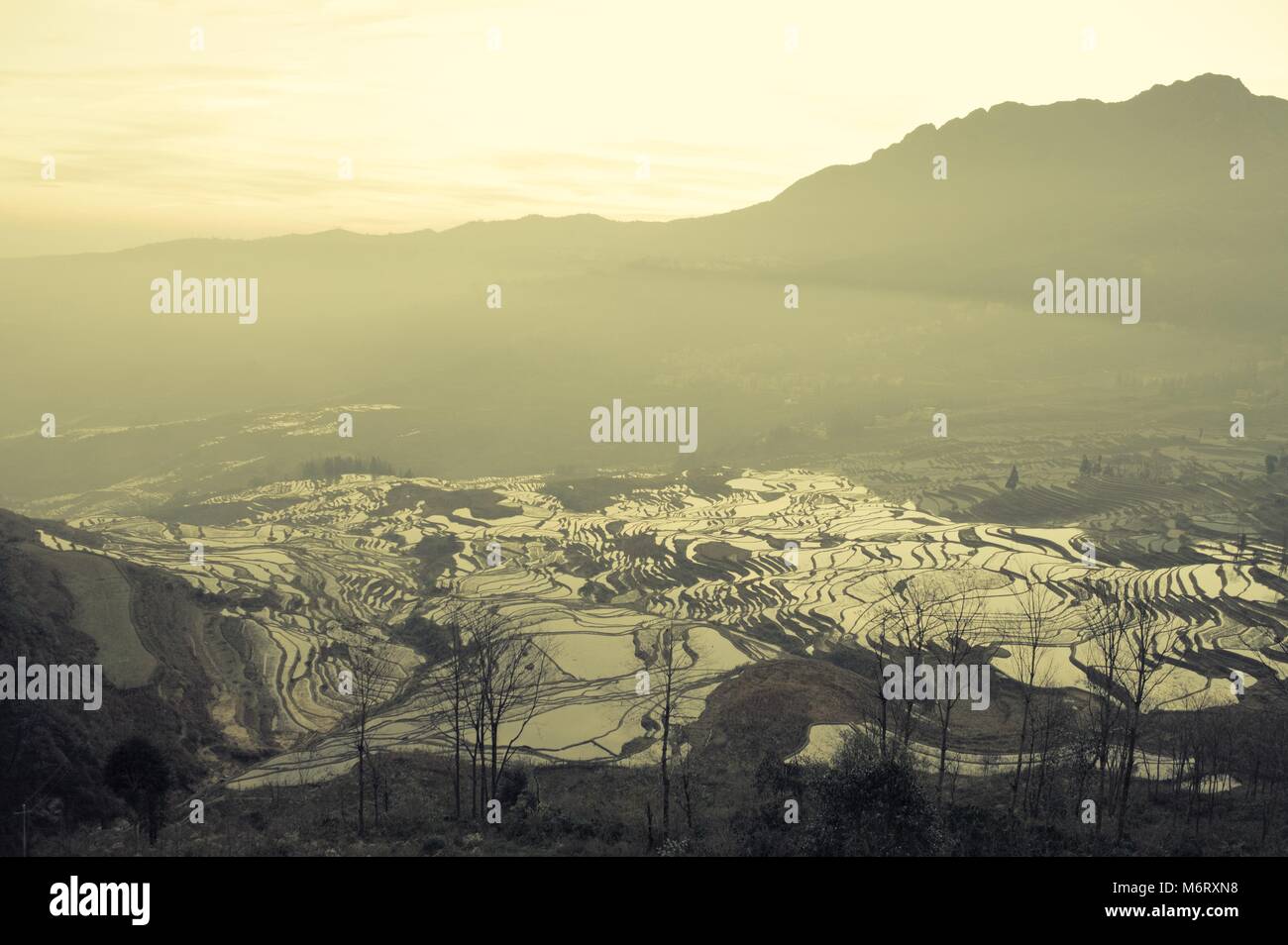 Sunset at Yuanyang Rice Terraces - Unesco World Heritage Site (Yunnan ...
