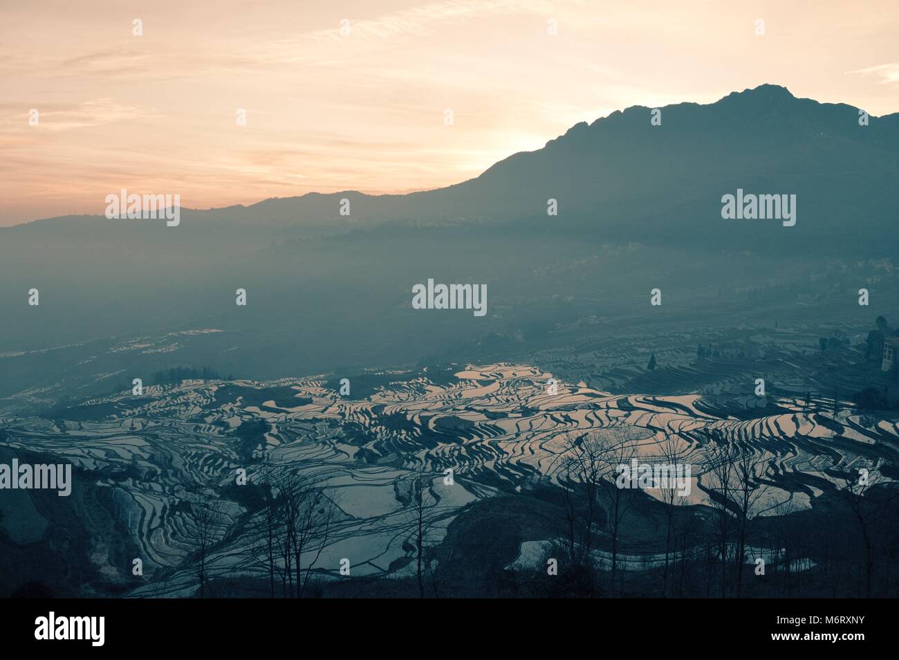 Sunset at Yuanyang Rice Terraces - Unesco World Heritage Site (Yunnan ...