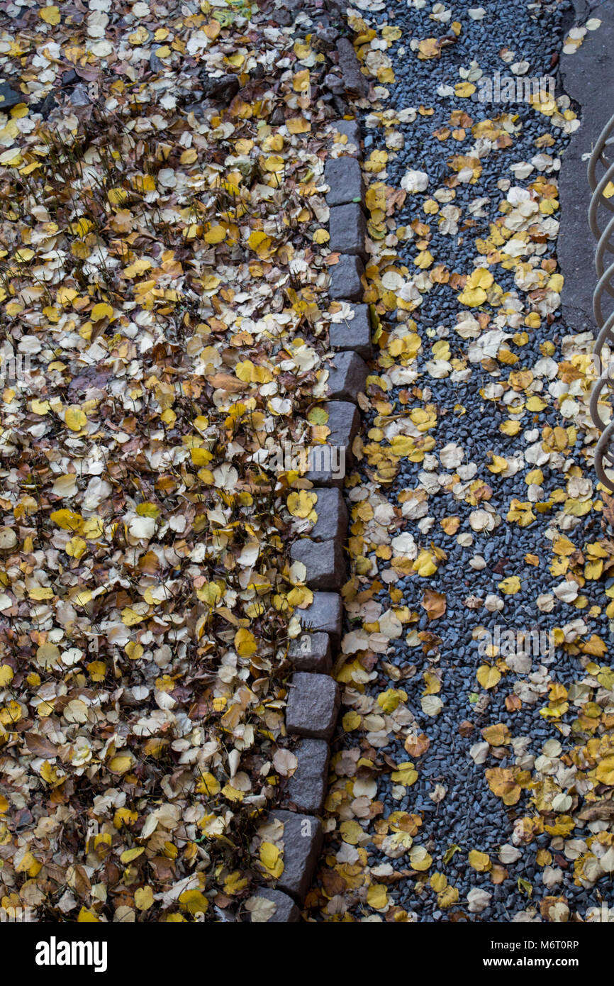 Texture background of autumn season with leaves Stock Photo - Alamy