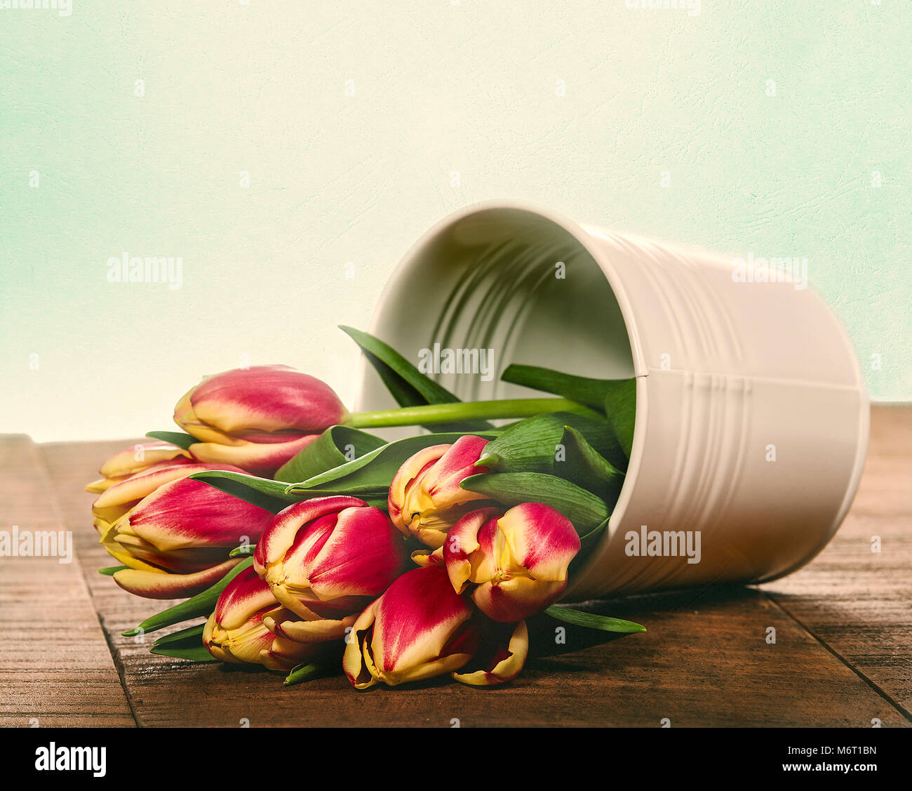 Metal can for plants hi-res stock photography and images - Alamy