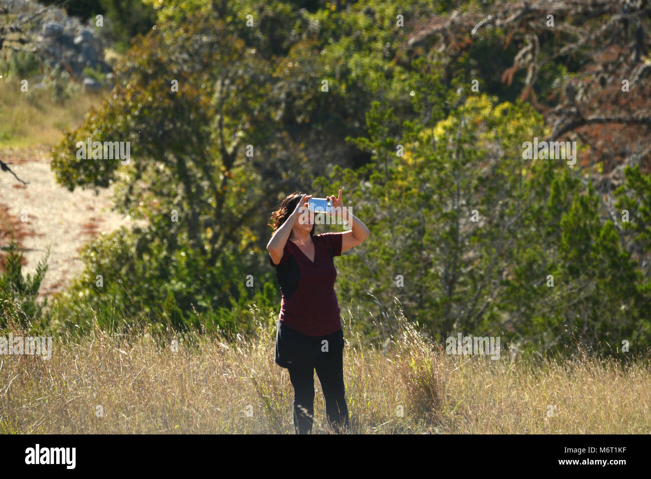 Woman using cell phone to photograph nature Stock Photo - Alamy