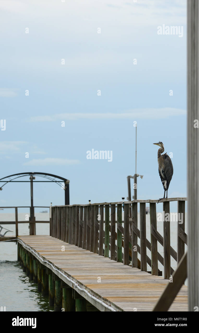 Aransas bay hi-res stock photography and images - Alamy