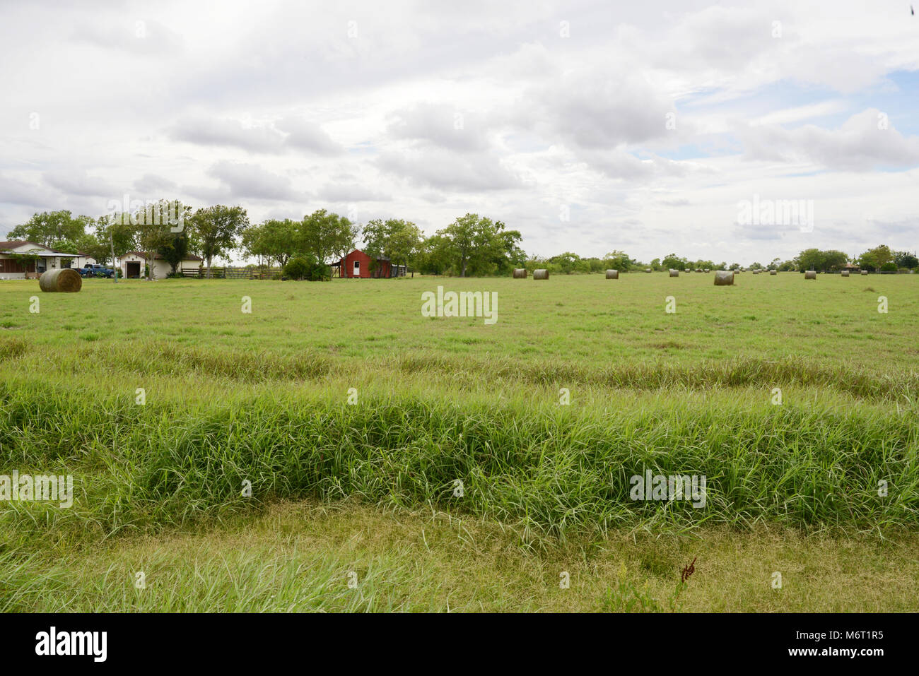 Rural farms in Texas Stock Photo - Alamy